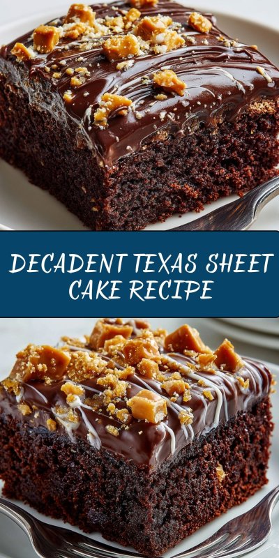 Texas Sheet Cake - Legendary Chocolate Dessert Recipe
